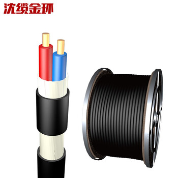 沈缆金环 电线电缆 ZR-KVV 2X2.5国标铜芯 阻燃控制电缆 2芯 聚氯乙烯绝缘护套电缆 1米 (100米起订）-融创集采商城