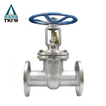 泰流科技（TKFM）闸阀Z41W-16P DN150