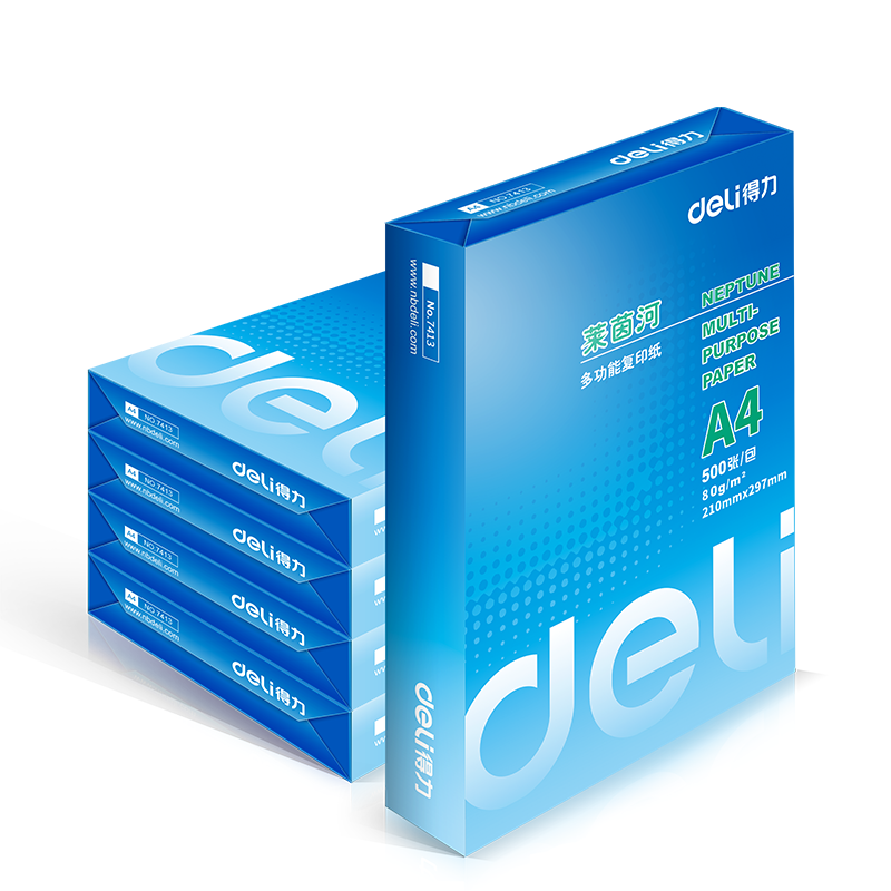 得力（deli）莱茵河 A4 80g 加厚双面打印纸 口碑优选复印纸 500张/包 5包1箱（整箱2500张）-融创集采商城