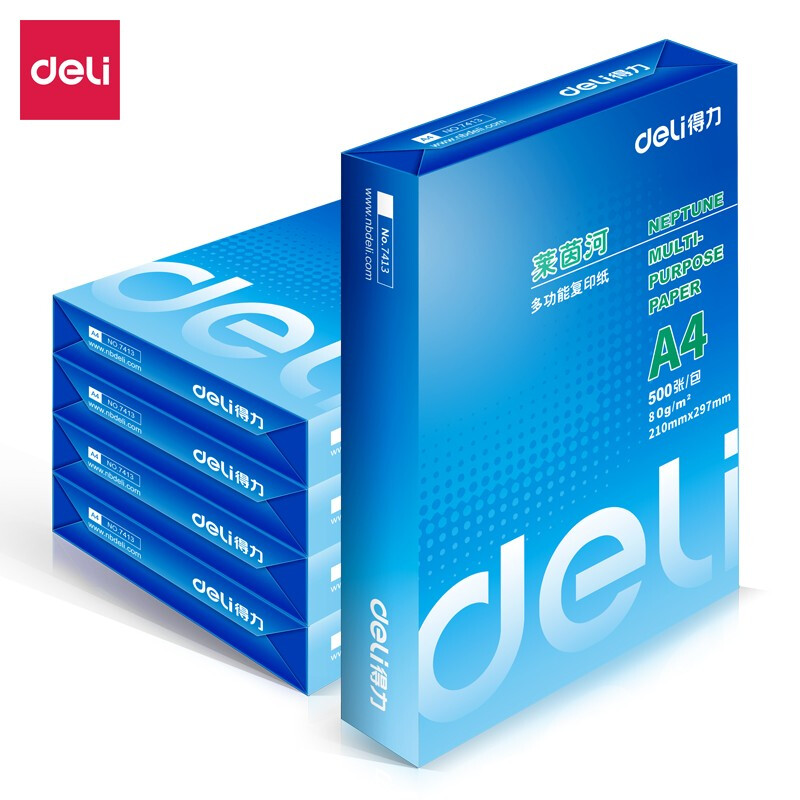 得力（deli）7419 莱茵河复印纸 a4打印纸 a4纸 80克 A4打印纸白纸 5包/箱-融创集采商城