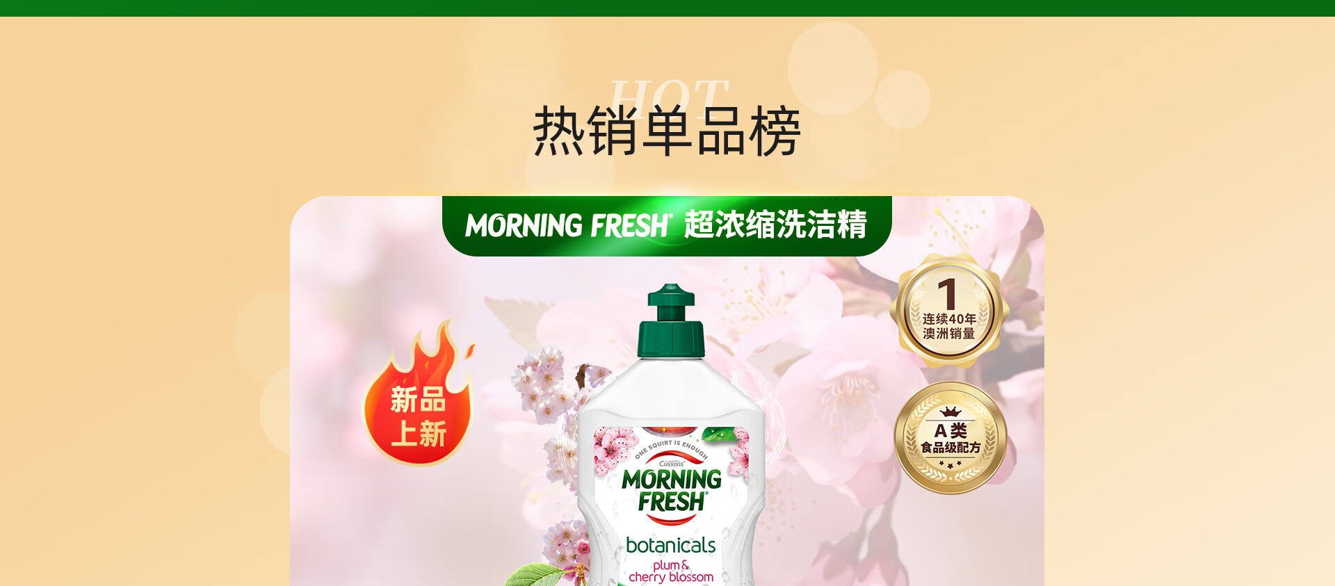 morning fresh家清京东自营旗舰店 - 京东