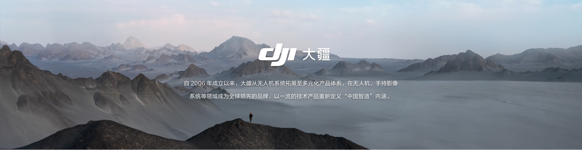 DJI大疆官方旗舰店 - 京东