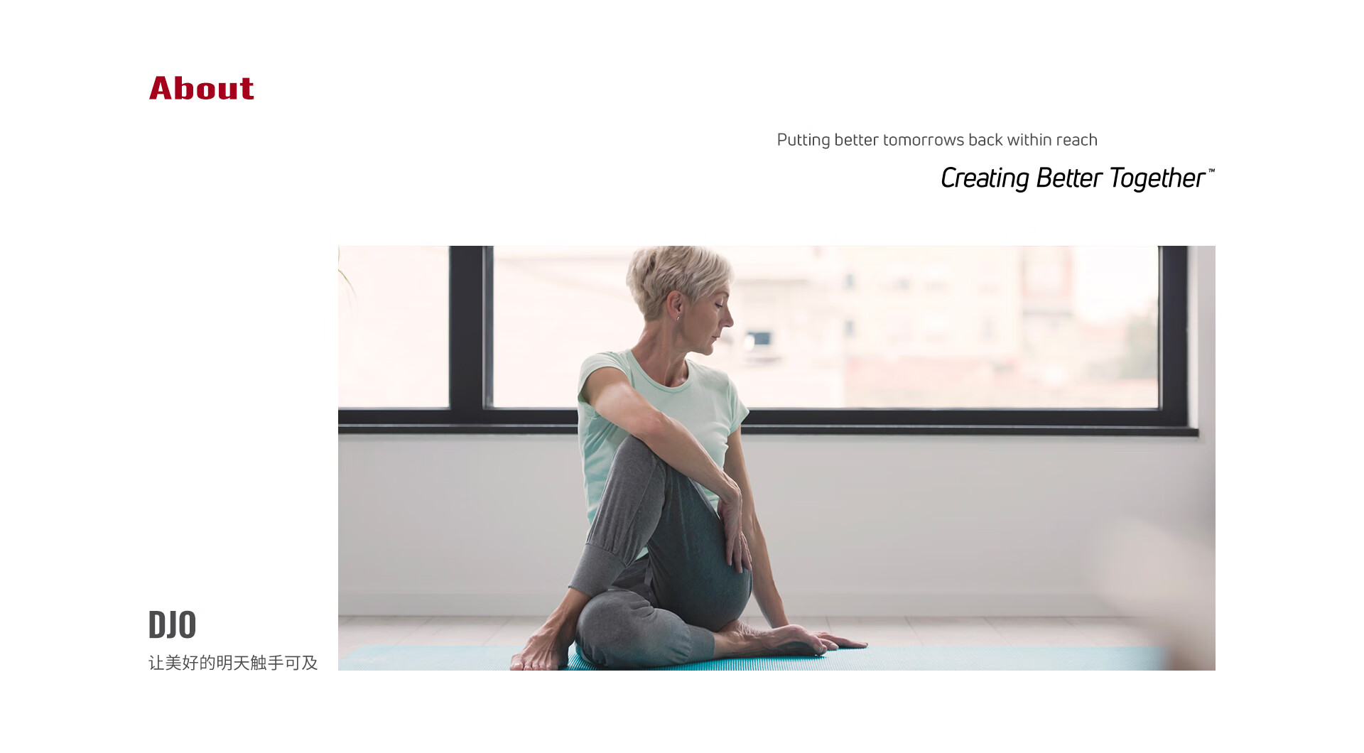 DJO GLOBAL京东自营旗舰店 - 京东