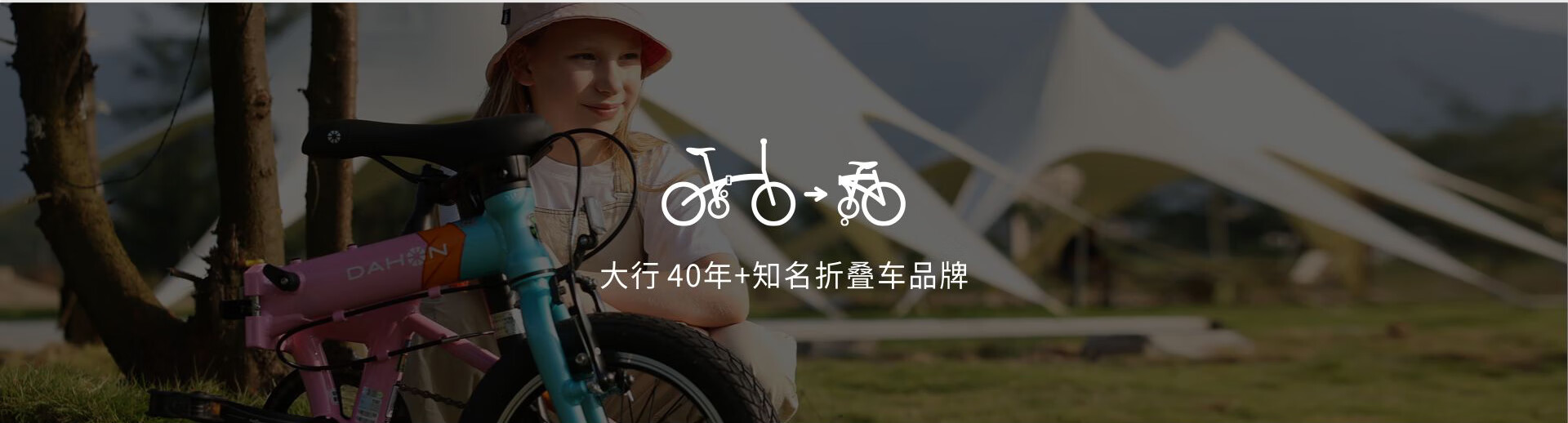 DAHON大行官方旗舰店 - 京东