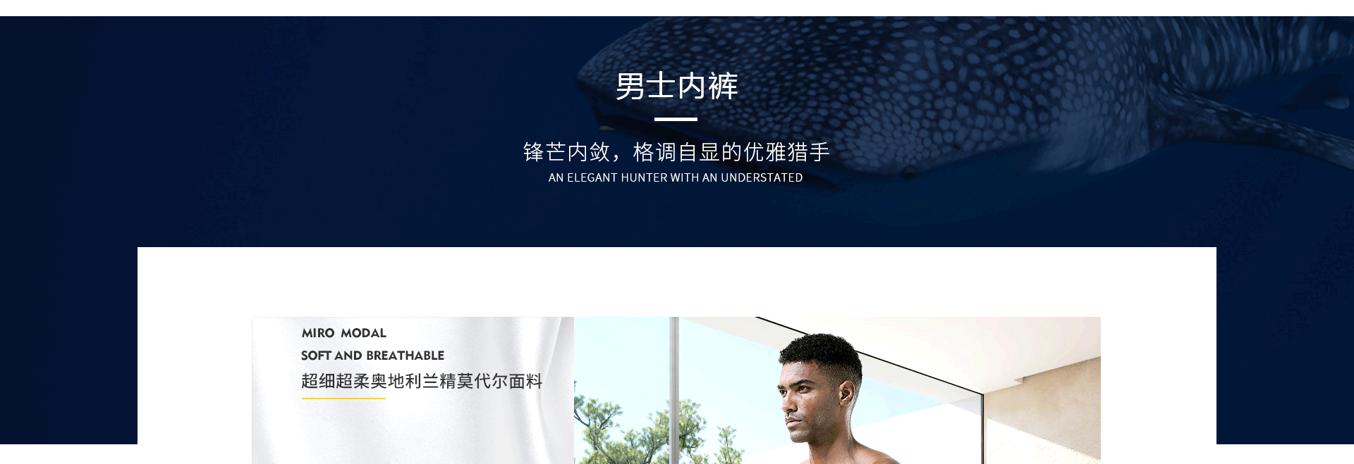 XSHARK官方旗舰店 - 京东