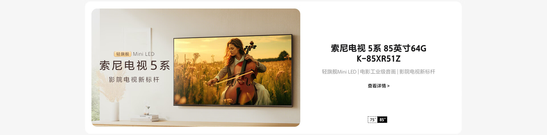 SONY京东自营旗舰店 - 京东