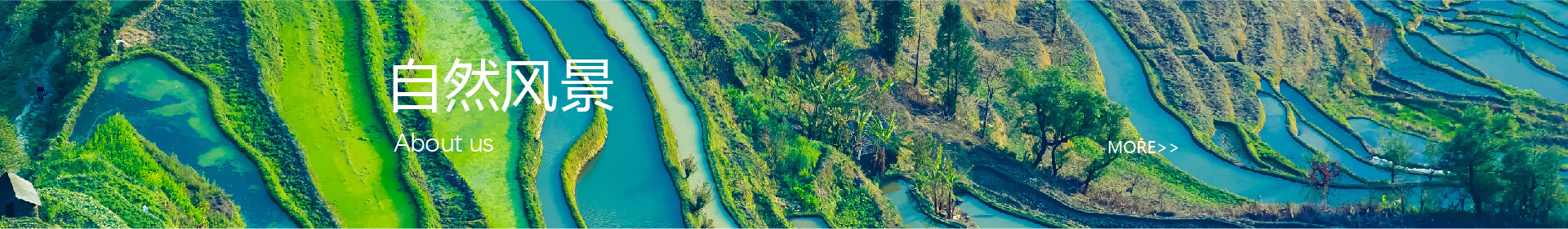 SKY ROVER旗舰店 - 京东