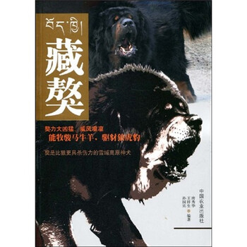 藏獒