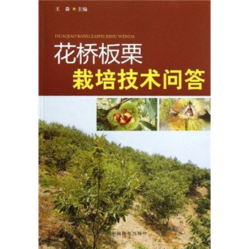 花桥板栗栽培技术问答