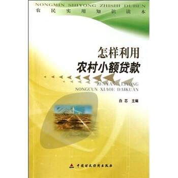 怎么利用农村小额贷款9787509517086