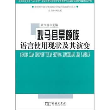 耿马县景颇族语言使用现状及其演变