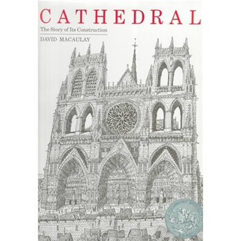 Cathedral  大教堂: 有关建筑的故事 英文原版