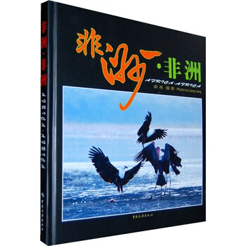 正版书籍 非洲·非洲9787503238536