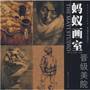 蚂蚁画室：晋级美院