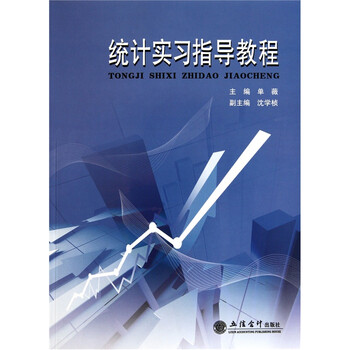 统计实习指导教程