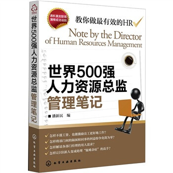 世界500强人力资源总监管理笔记