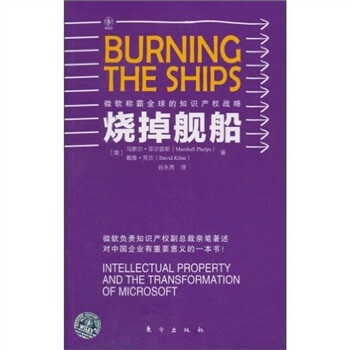 烧掉舰船：微软称霸全球的知识产权战略