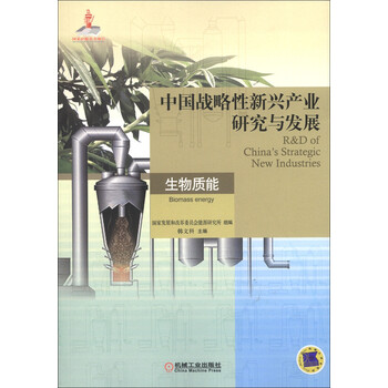 中国战略性新兴产业研究与发展：生物质能