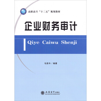 企业财务审计