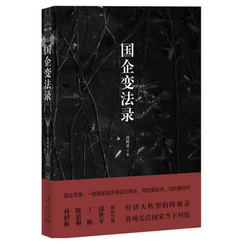 国企变法录