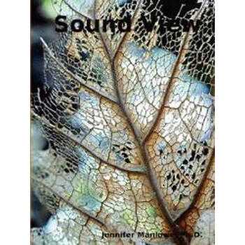 【】Sound View