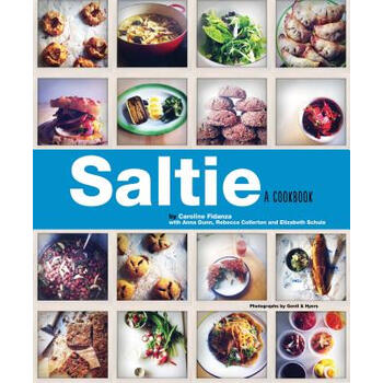 【】Saltie: A Cookbook