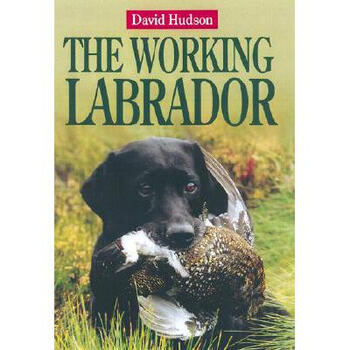 The Working Labrador
