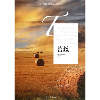 苔丝/外国文学名*名译丛书