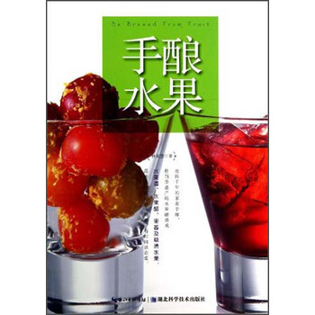 正版书籍 手酿水果9787535256485