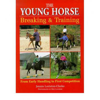The Young Horse