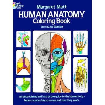 【】Human Anatomy Coloring Book
