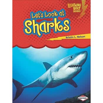 【】Let's Look at Sharks