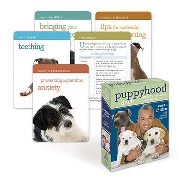 Puppyhood Deck: 50 Tips for Raising the Perf...