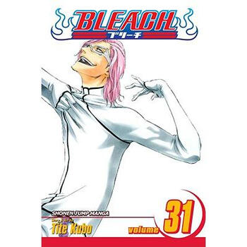 Bleach, Vol. 31: Volume 31