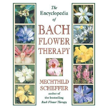 【】The Encyclopedia of Bach Flow