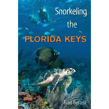 【】Snorkeling the Florida Keys