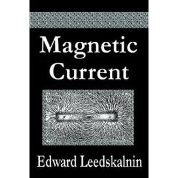 【】Magnetic Current
