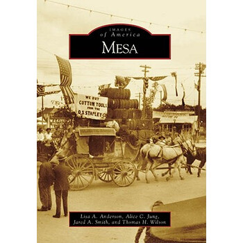 【】Mesa