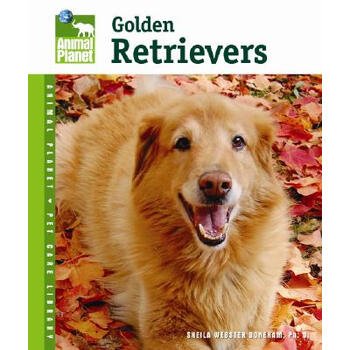 【】Golden Retrievers