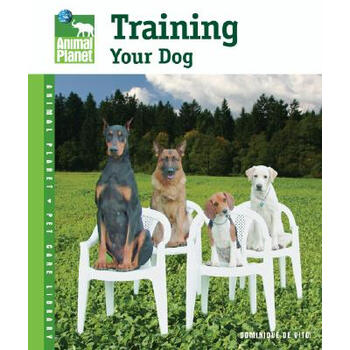 【】Training Your Dog