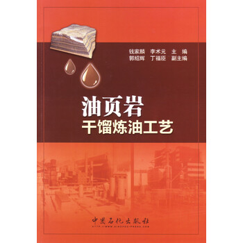 油页岩干馏炼油工艺
