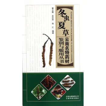 冬虫夏草/云南名特药材鉴别与服用丛书