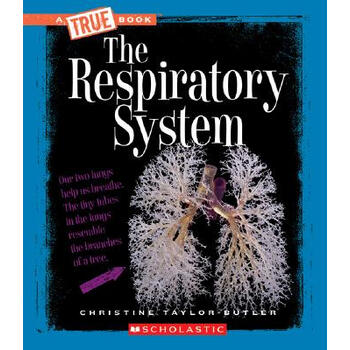 【】The Respiratory System