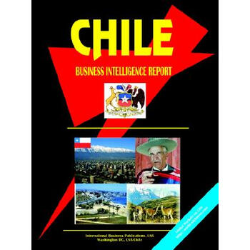 【】Chile Business Intelligenc