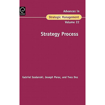 【】Strategy Process