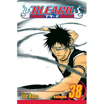 Bleach, Volume 38: Fear for Fight