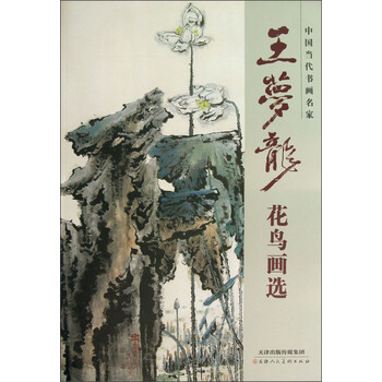中国当代书画名家：王梦龙花鸟画选