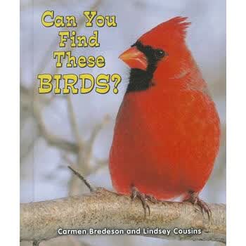 【】Can You Find These Birds?
