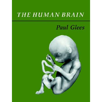 【】The Human Brain