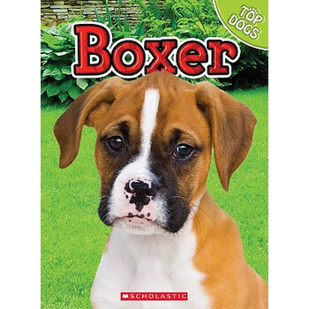 【】Boxer
